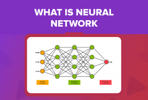 What is a Neural Network