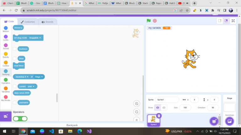 Exploring Scratch: The World of Code Blocks | Codingal